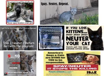 Spay / Neuter Messages - Paws and Claws Society, Inc.