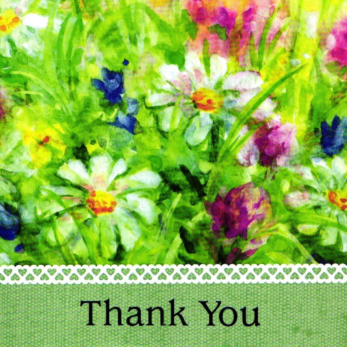 Thanks For Kindness - Paws and Claws Society, Inc.